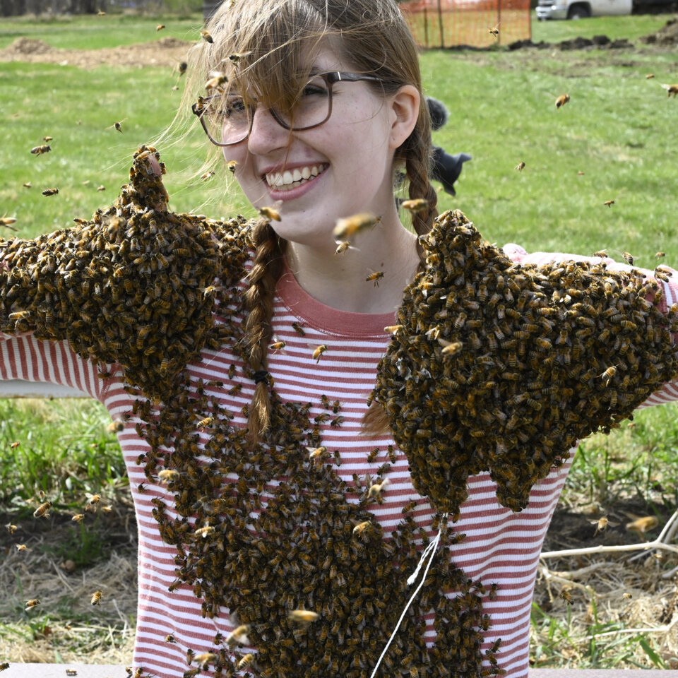 Emma Knezevic | Bee Lab | Nebraska